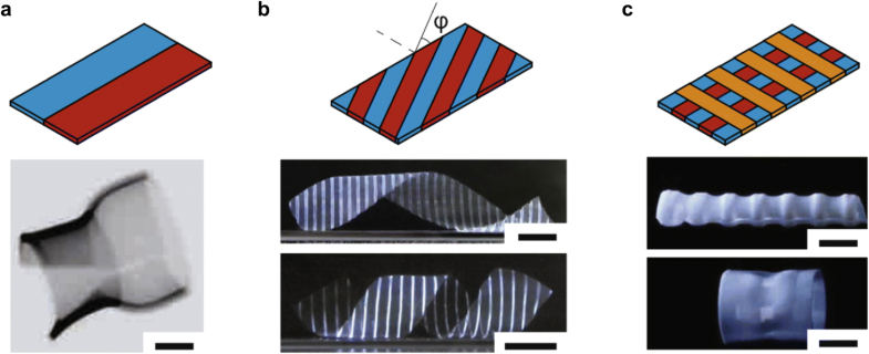 A taxonomy of shape-changing behavior for 4D printed parts using shape ...