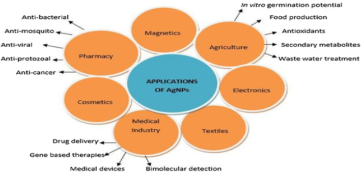 Applications of Plant Flavonoids in the Green Synthesis of Colloidal ...