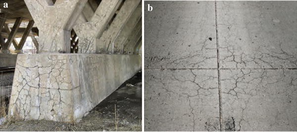 Analysis of concrete structures deteriorated by alkali-aggregate ...