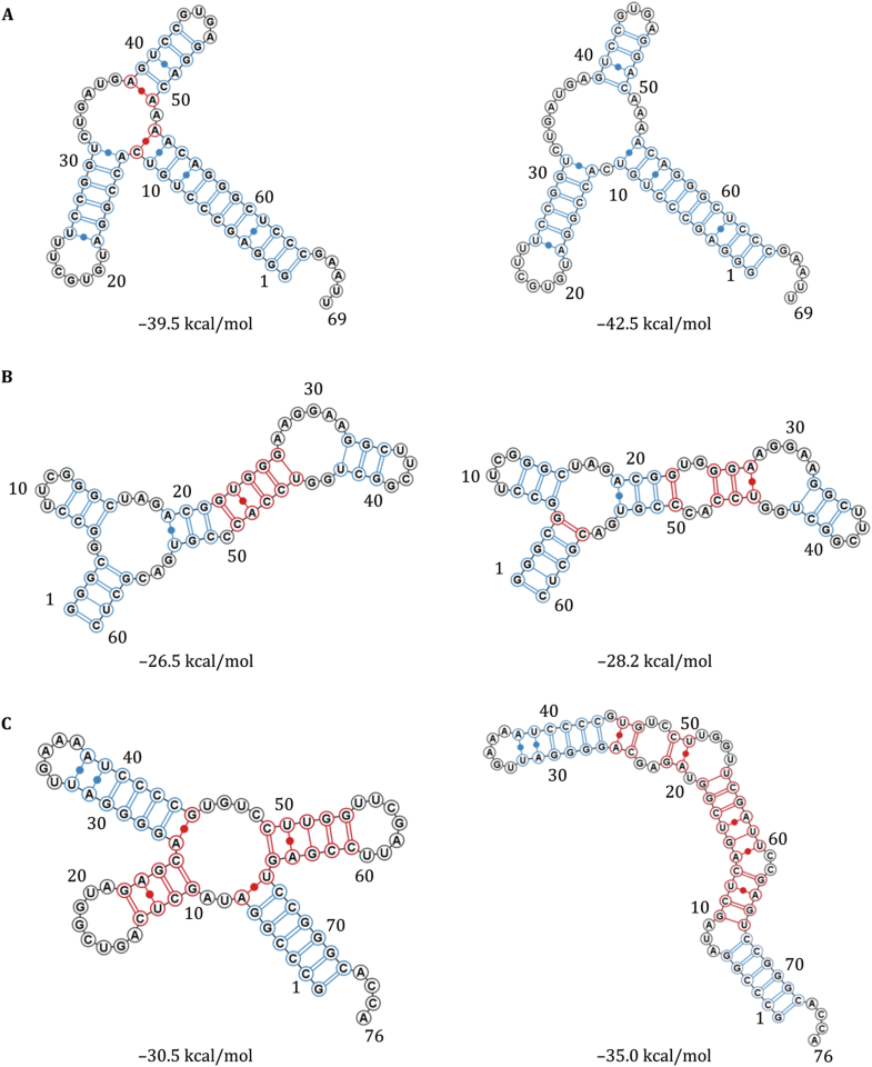 Evaluation of RNA secondary structure prediction for both base-pairing ...