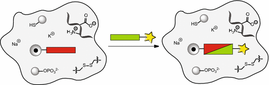 Bioorthogonal Chemistry—Introduction and Overview | SpringerLink