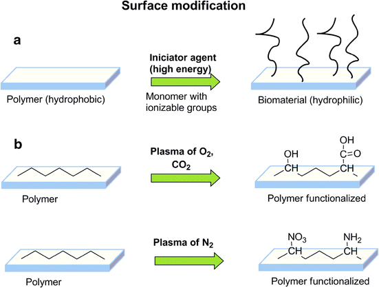 Radiation Grafting for the Functionalization and Development of Smart ...