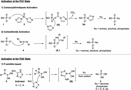 New Synthetic Methods for Phosphate Labeling | SpringerLink