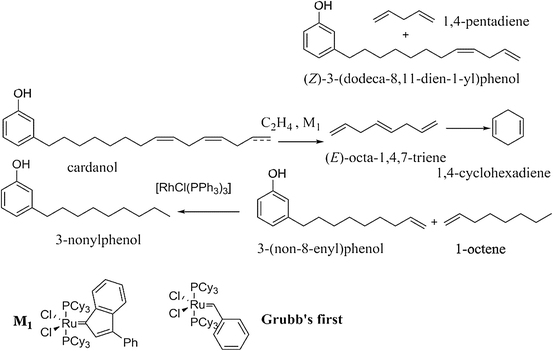 Chemical Valorization of Cashew Nut Shell Waste | SpringerLink