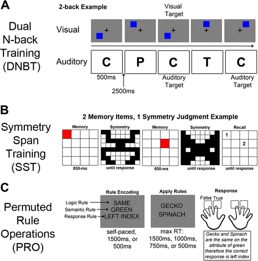 N-back Versus Complex Span Working Memory Training | SpringerLink