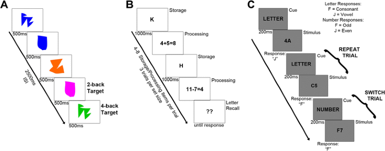 N-back Versus Complex Span Working Memory Training | SpringerLink