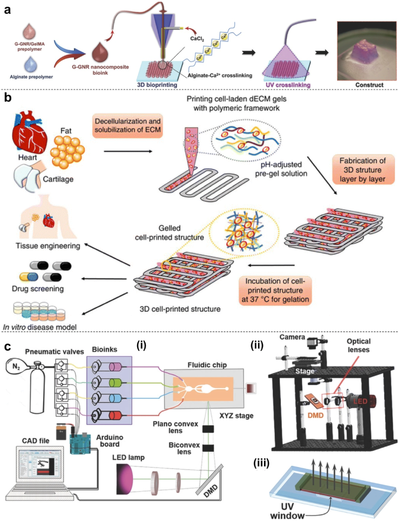 A perspective on 3D bioprinting in tissue regeneration | SpringerLink