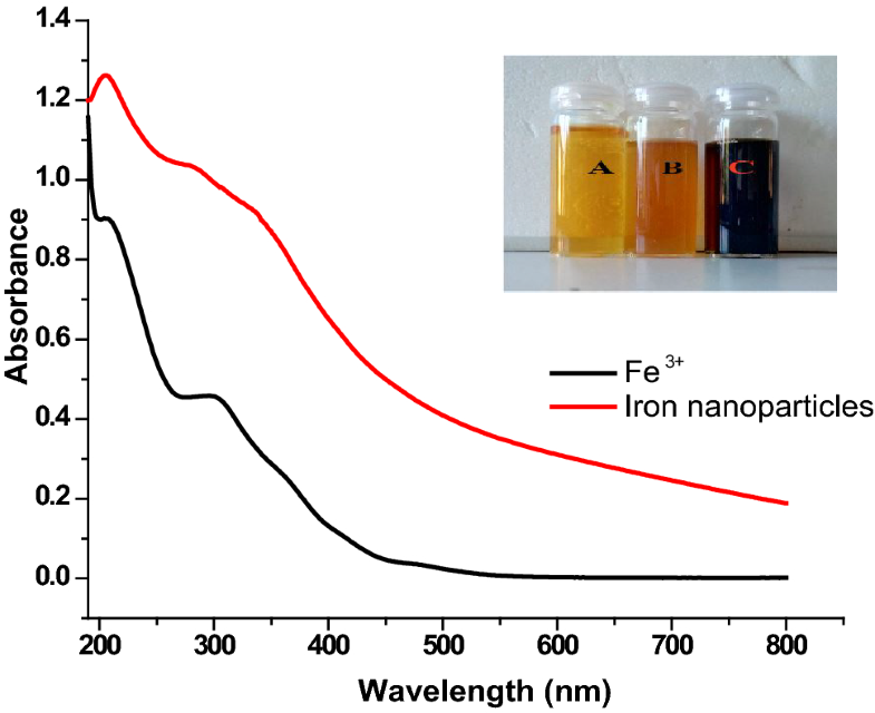 Biosynthesis of iron nanoparticles using Ageratum conyzoides extracts ...