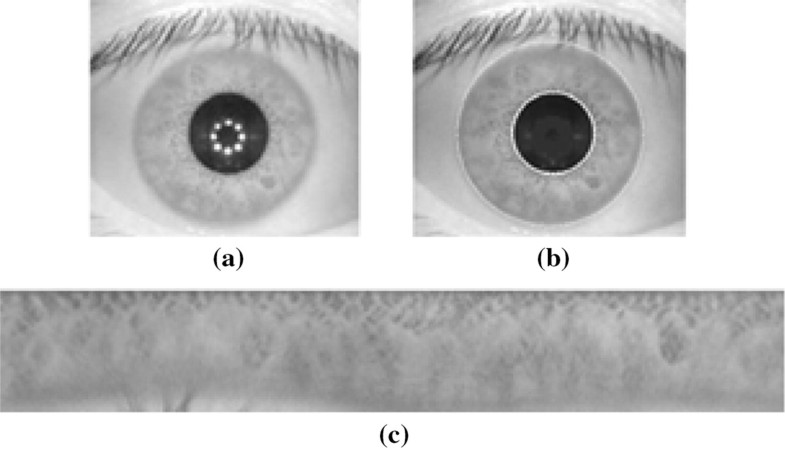 Improving identification performance in iris recognition systems ...