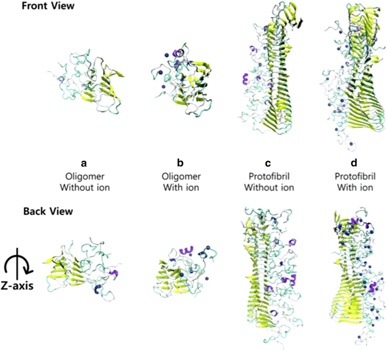 Computer Simulation of Protein Materials at Multiple Length Scales ...