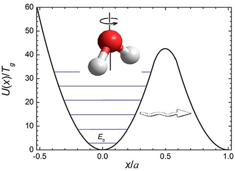 Quantum effects in dynamics of water and other liquids of light ...