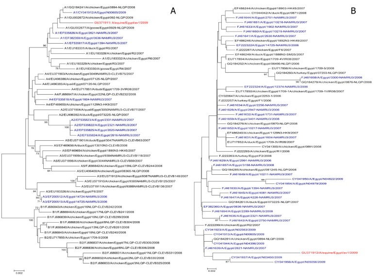Isolation and characterization of highly pathogenic avian influenza ...