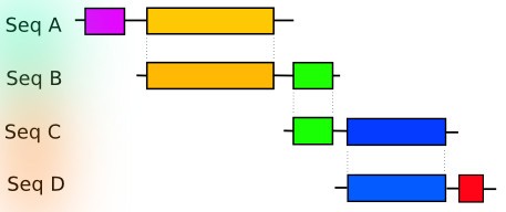 Ultra-fast sequence clustering from similarity networks with SiLiX | BMC Bioinformatics | Full Text
