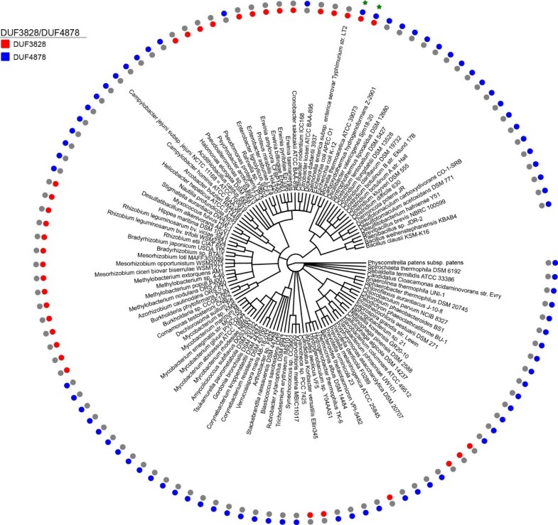 Filling out the structural map of the NTF2-like superfamily | BMC ...