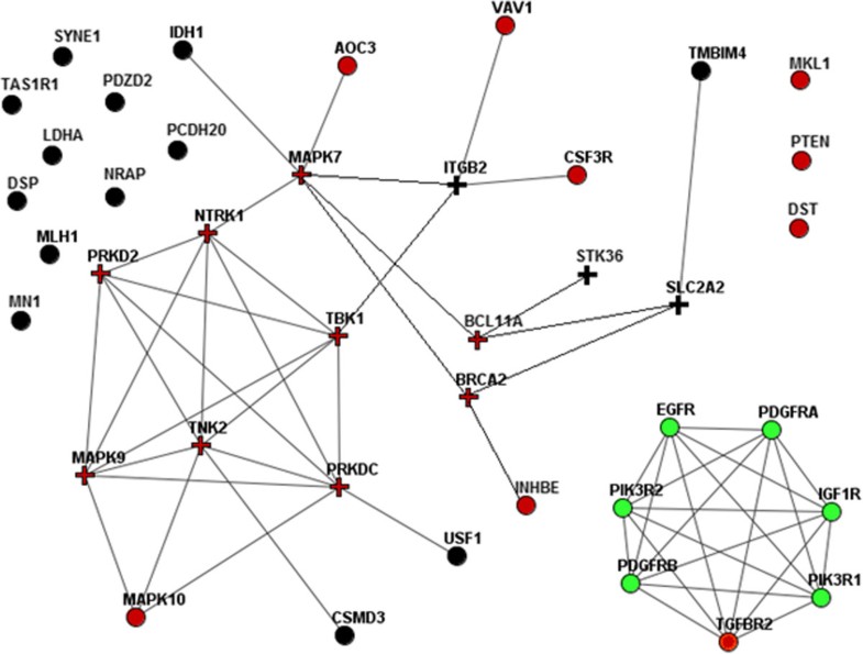 Distinguishing between driver and passenger mutations in individual ...