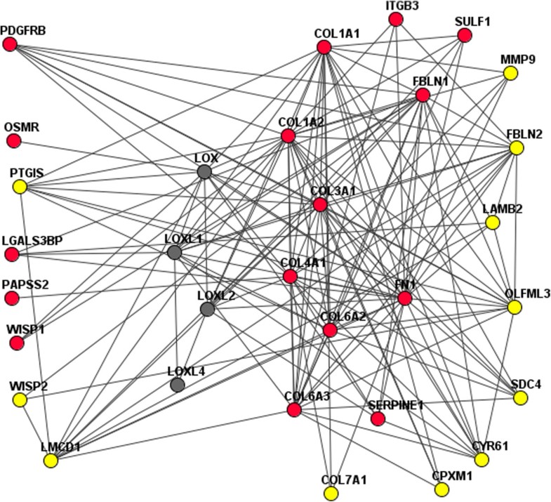 Distinguishing between driver and passenger mutations in individual ...