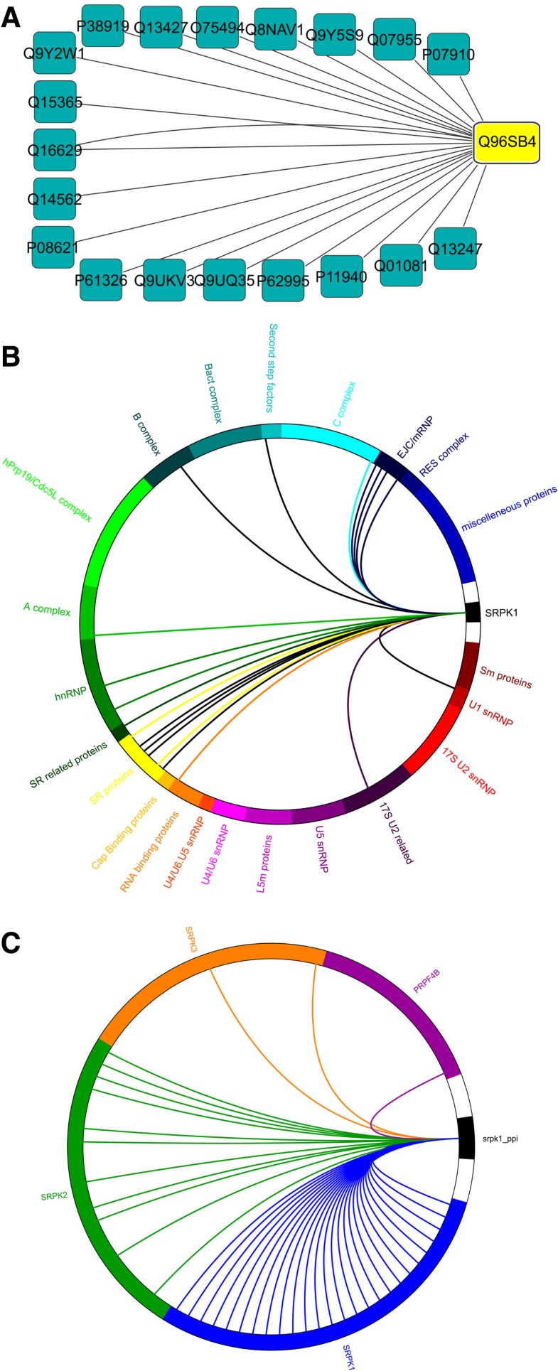 CIG-P: Circular Interaction Graph for Proteomics | BMC Bioinformatics ...
