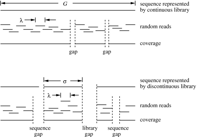 Extension of Lander-Waterman theory for sequencing filtered DNA libraries | BMC Bioinformatics ...