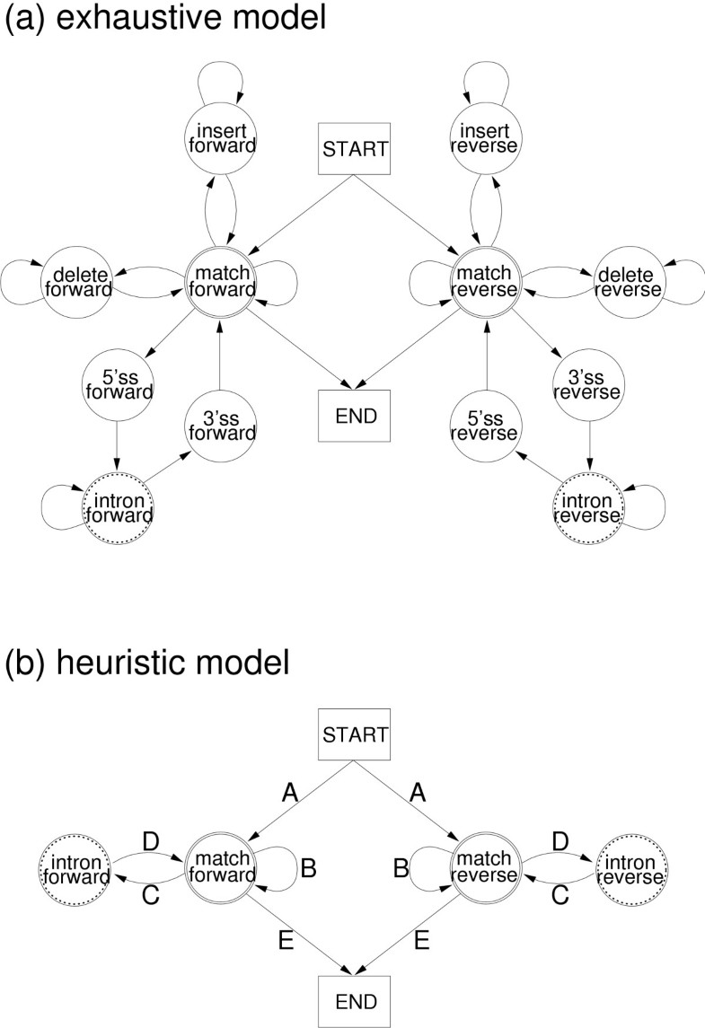 Automated generation of heuristics for biological sequence comparison ...