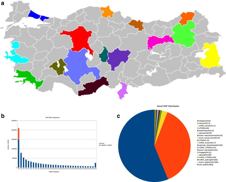 Whole genome sequencing of Turkish genomes reveals functional private ...