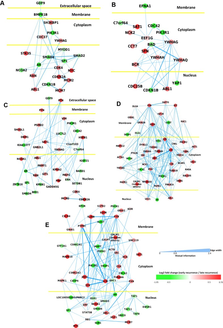 BMRF-MI: integrative identification of protein interaction network by ...