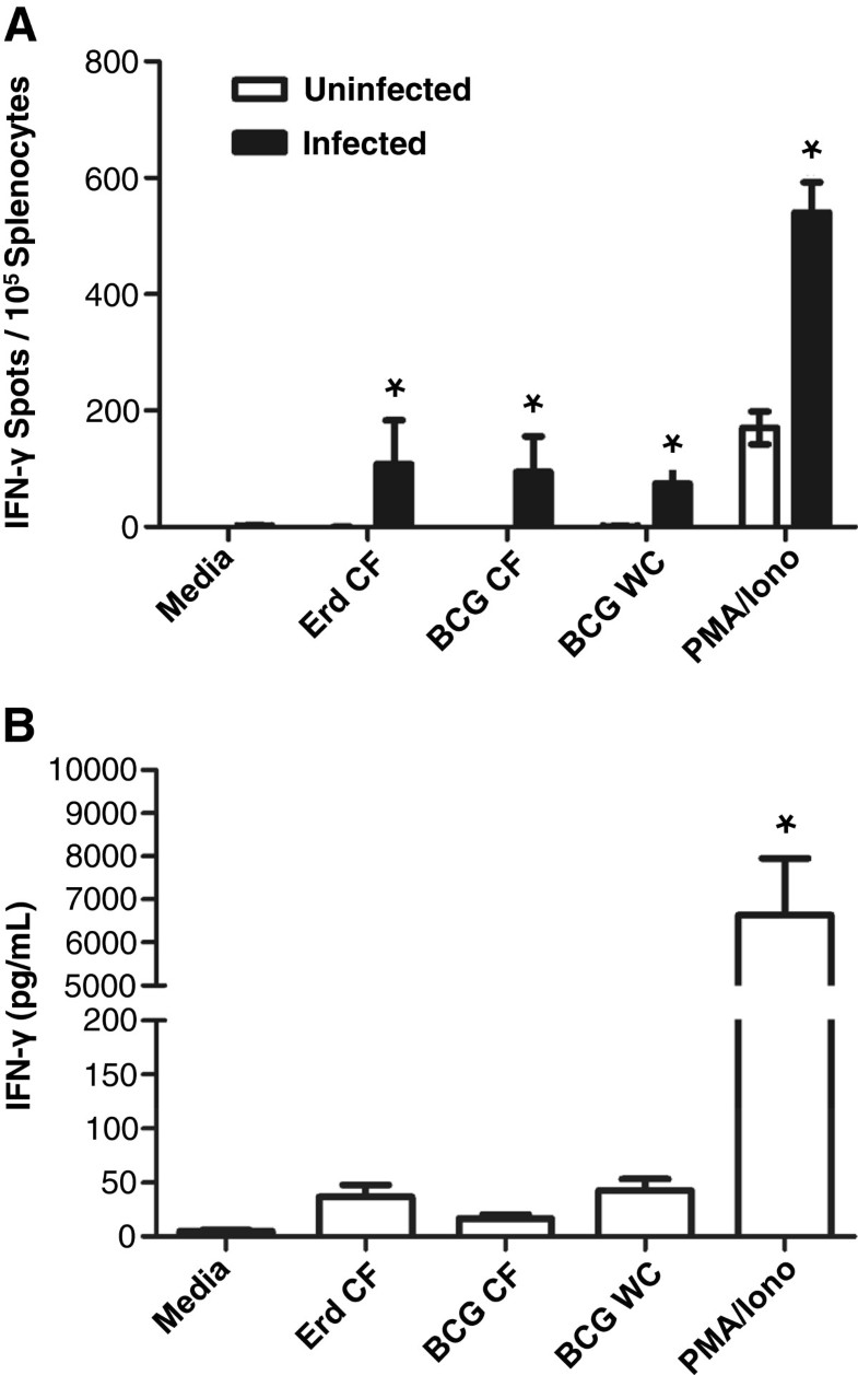 Engrafted human cells generate adaptive immune responses to ...