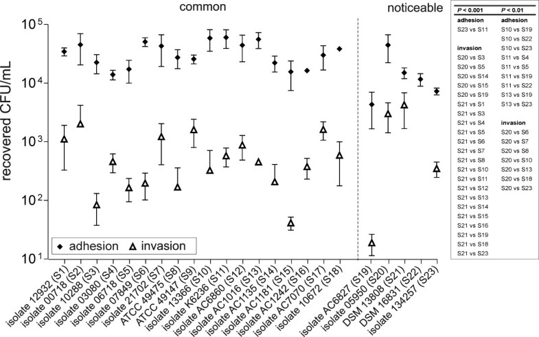 Interactions between endocarditis-derived Streptococcus gallolyticus ...