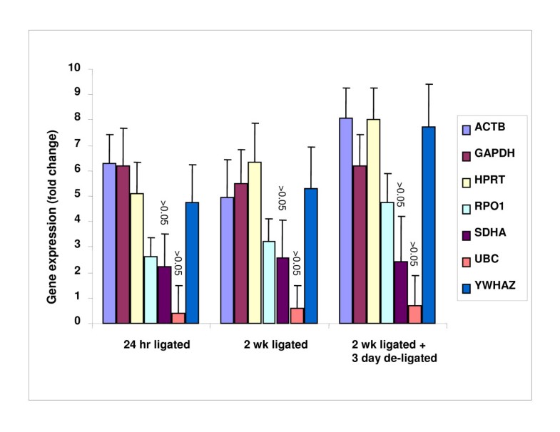 Selection of housekeeping genes for gene expression studies in the ...