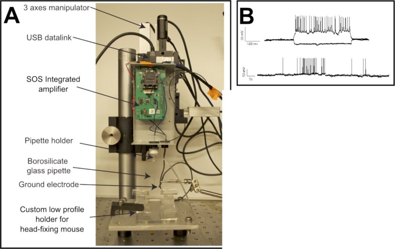 Automated, in-vivo, whole-cell electrophysiology using an integrated ...