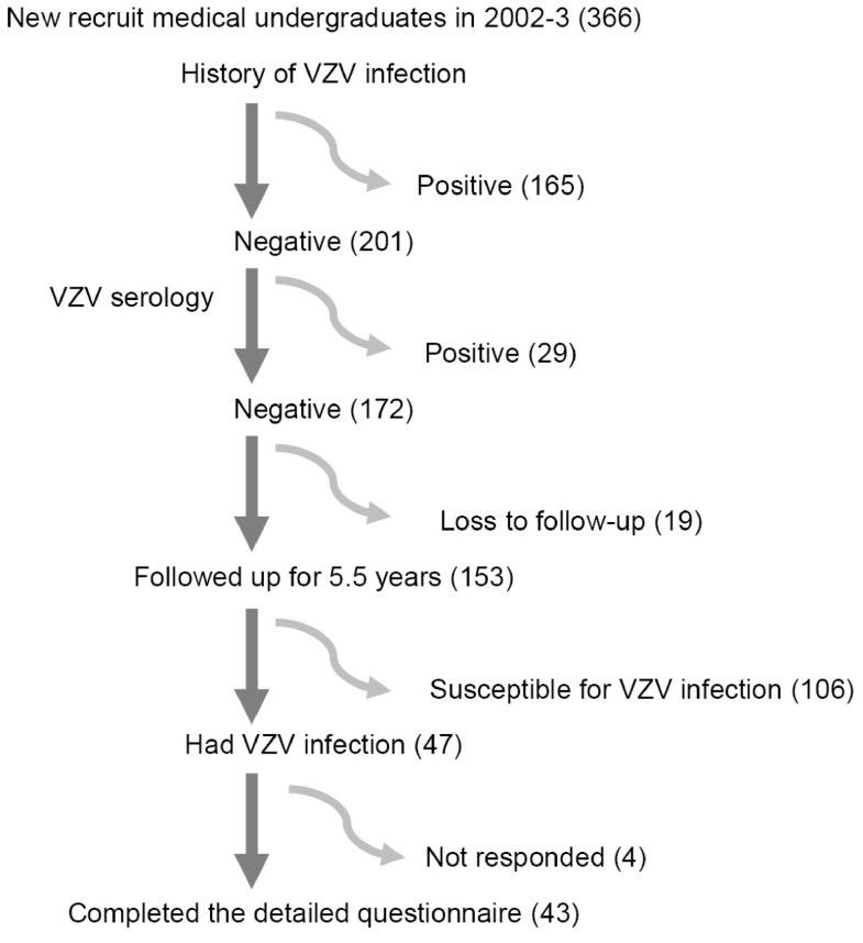 Incidence and effects of Varicella Zoster Virus infection on academic ...