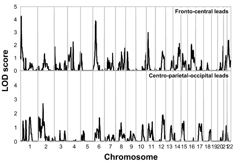 EEG alpha phenotypes: linkage analyses and relation to alcohol ...