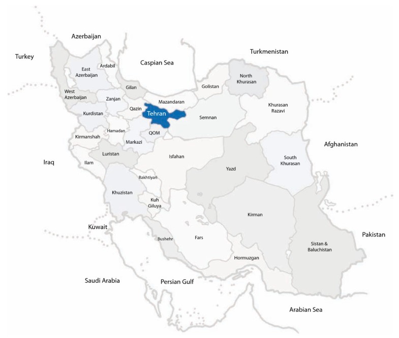 Frequency and clinical patterns of stroke in Iran - Systematic and ...