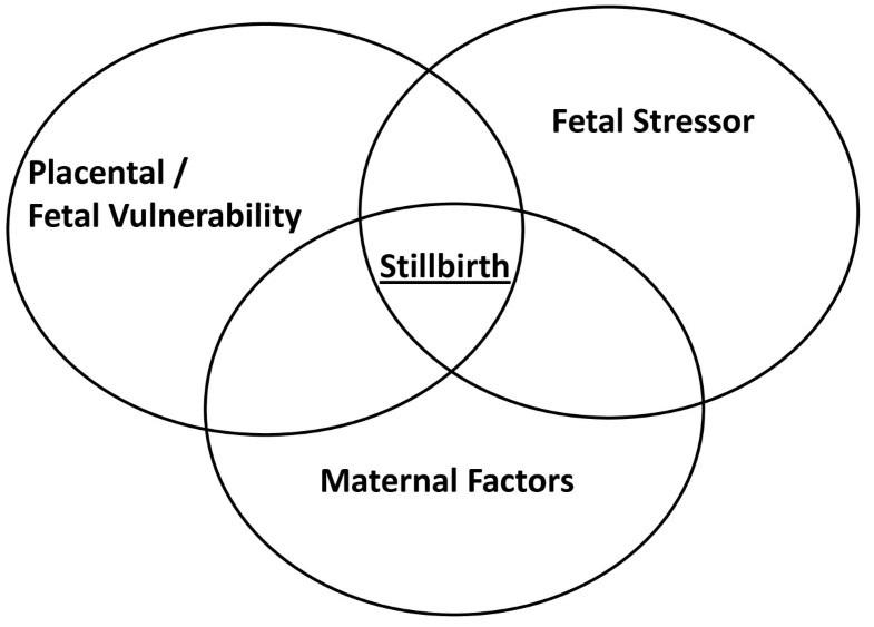 A triple risk model for unexplained late stillbirth | BMC Pregnancy and ...