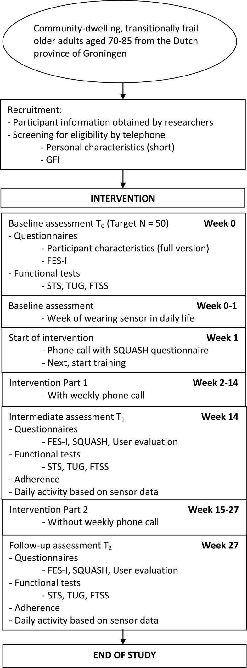 Adherence to and effectiveness of an individually tailored home-based exercise program for frail ...