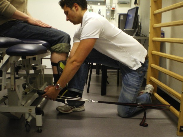 Reliability of maximal isometric knee strength testing with modified ...