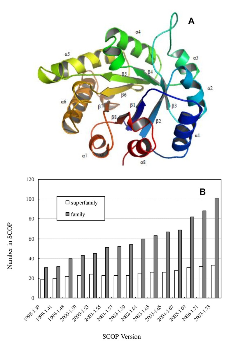 TIM-Finder: A new method for identifying TIM-barrel proteins | BMC ...