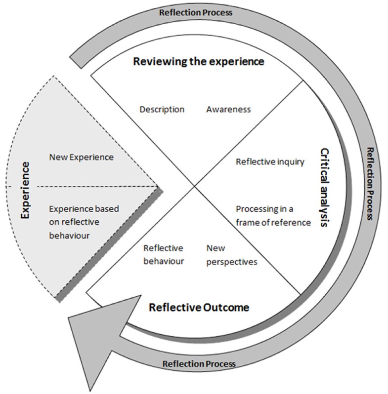 Factors confounding the assessment of reflection: a critical review ...