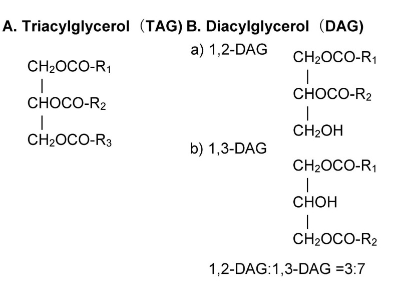 Diacylglycerol oil for the metabolic syndrome | Nutrition Journal ...