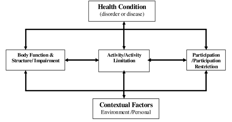 Measuring the ICF components of impairment, activity limitation and ...