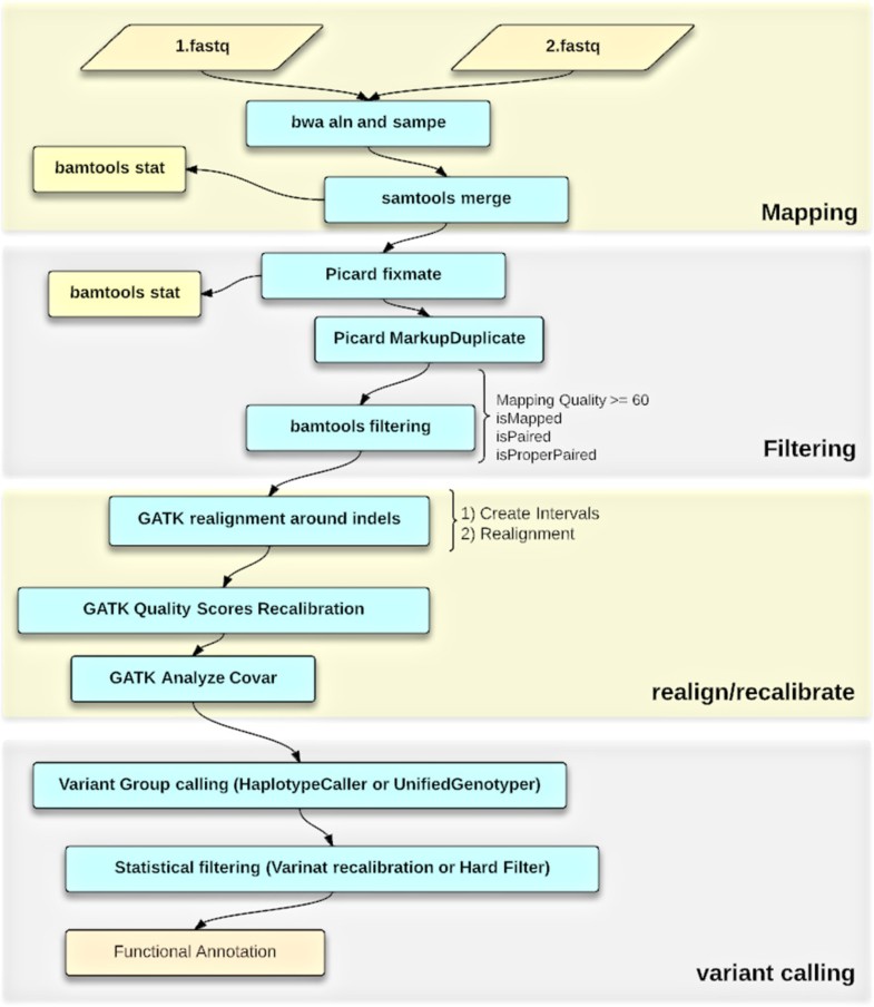 Validation and assessment of variant calling pipelines for next ...