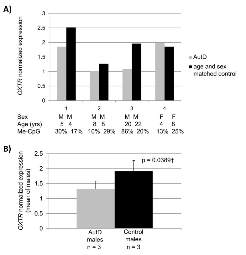 Genomic and epigenetic evidence for oxytocin receptor deficiency in ...