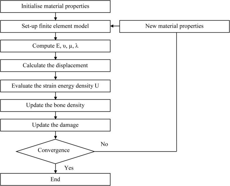 Computational simulation of the bone remodeling using the finite element method: an elastic ...