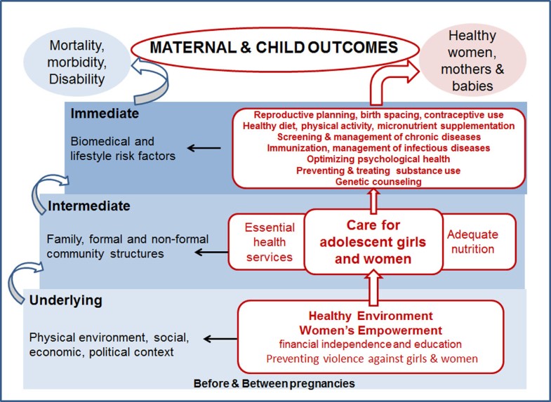 Preconception Care Closing The Gap In The Continuum Of Care To
