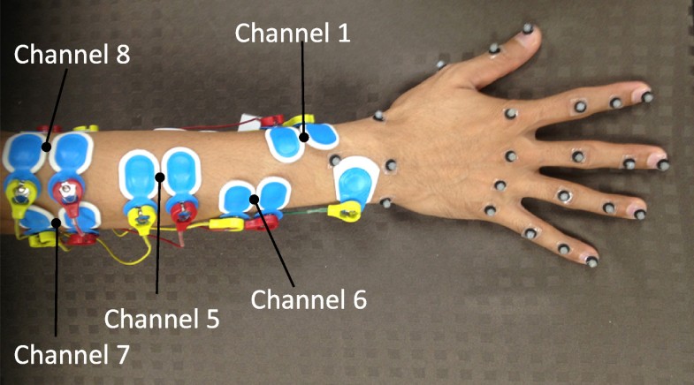 Continuous and simultaneous estimation of finger kinematics using inputs from an EMG-to-muscle ...