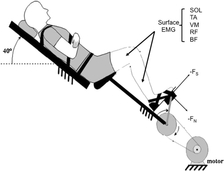 Foot force direction control during a pedaling task in individuals post ...