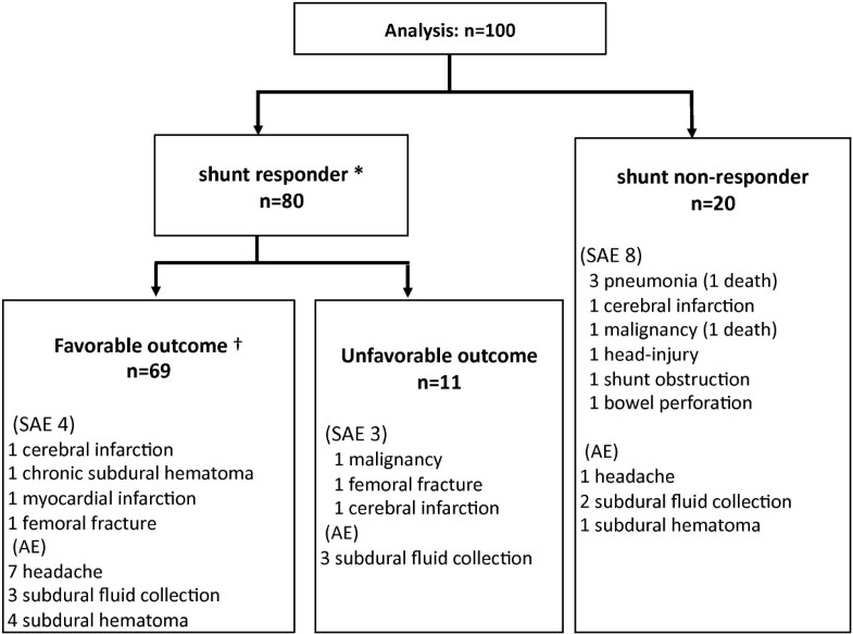 Diagnosis of idiopathic normal pressure hydrocephalus is supported by ...