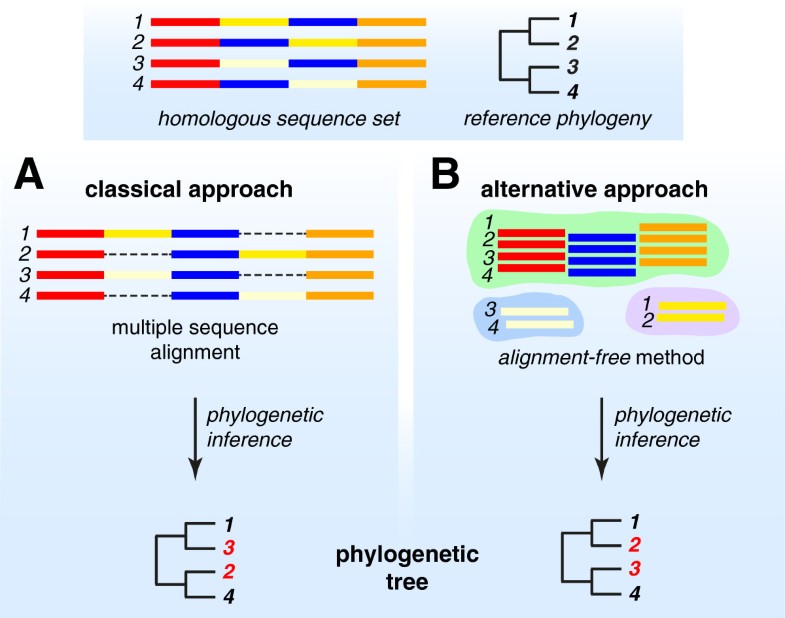 Next-generation phylogenomics | Biology Direct | Full Text