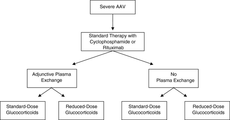 Plasma exchange and glucocorticoid dosing in the treatment of anti ...