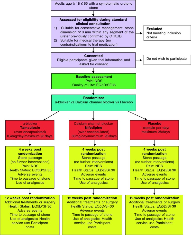 Use of drug therapy in the management of symptomatic ureteric stones in ...