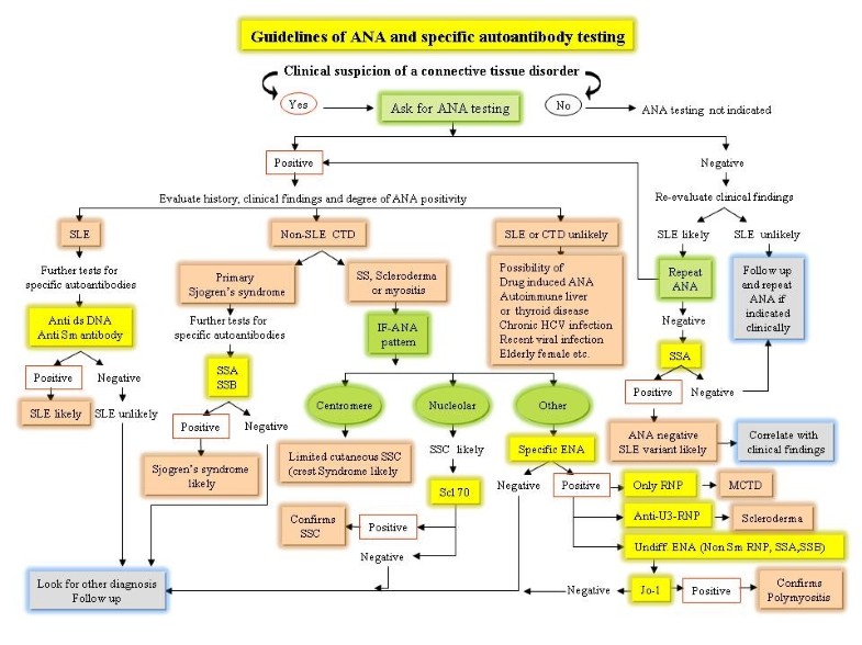 Antinuclear antibodies and their detection methods in diagnosis of ...